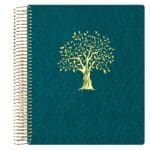 Aspen Green Lines Notebook with Gold Tree Icon - Dutch & Deckle ...